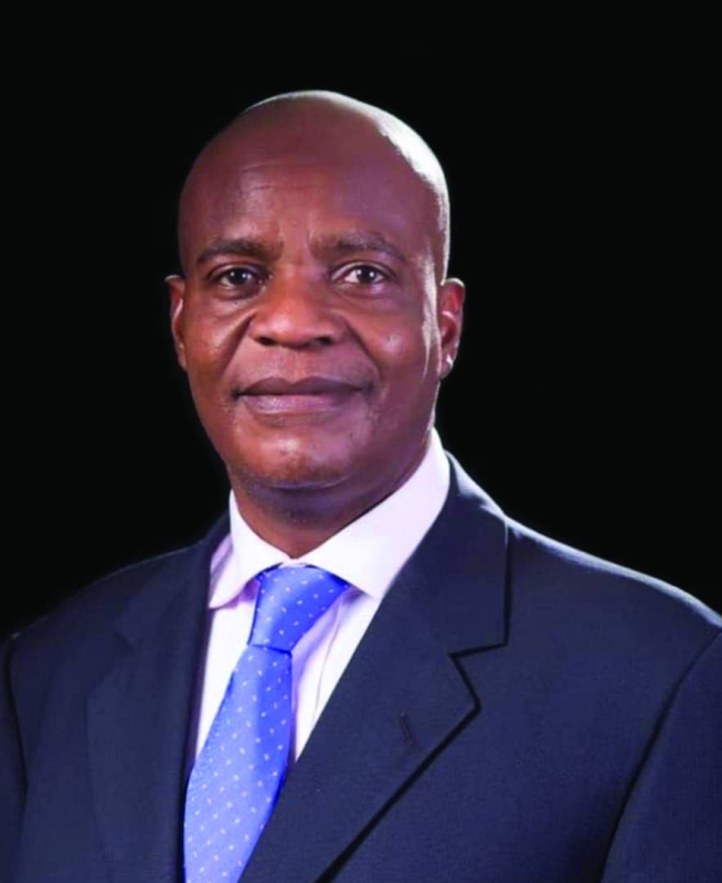 What they say about Sebetela's appointment :: Mmegi Online