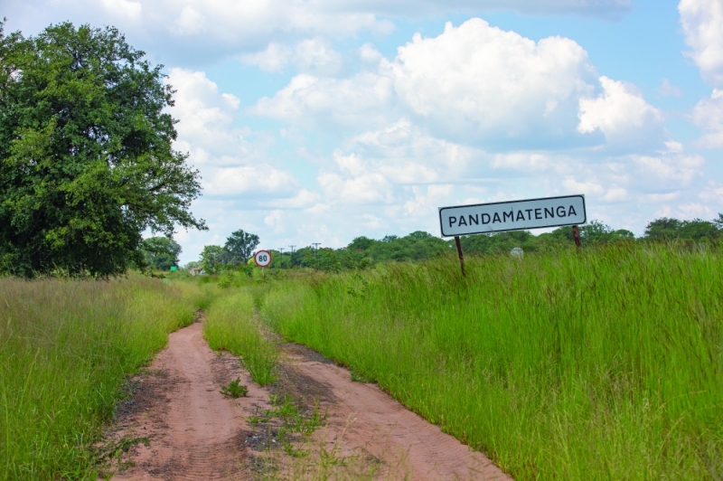 The lesser known face of Panda :: Mmegi Online