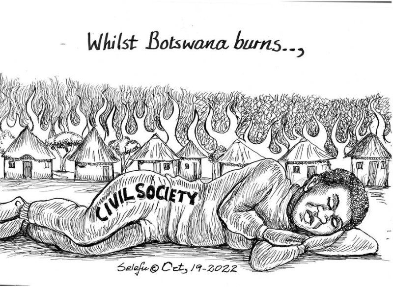 Whilst Botswana burns.., :: Mmegi Online