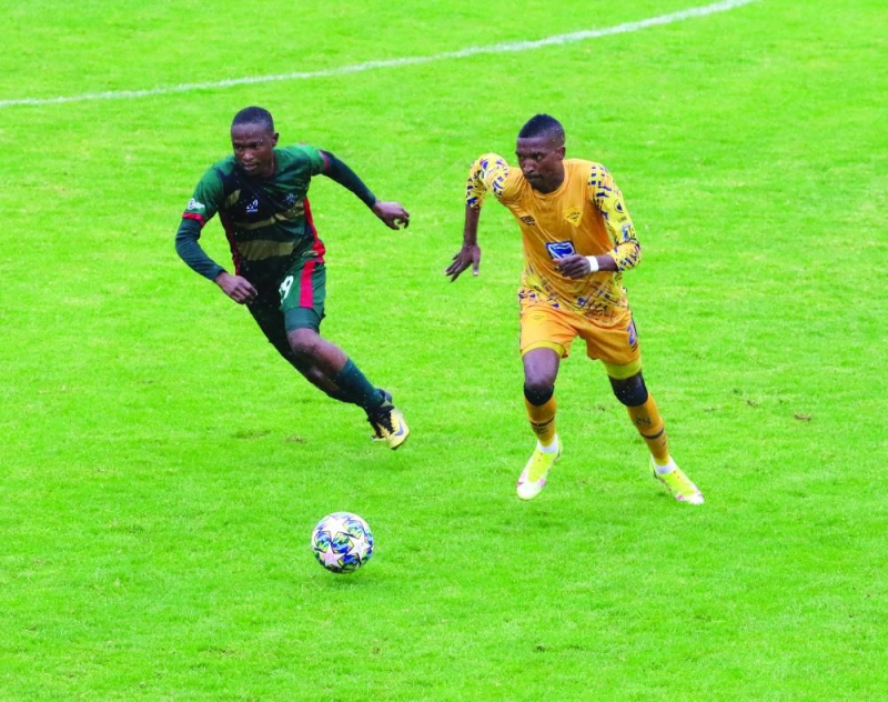 Resilient Popa Roll Over Matebele :: Mmegi Online