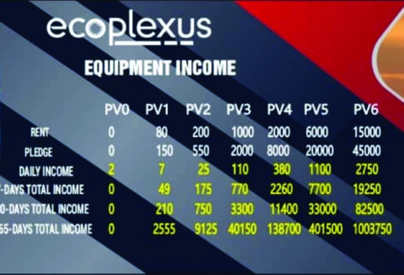 Inside Ecoplexus and its promises of quick returns :: Mmegi Online