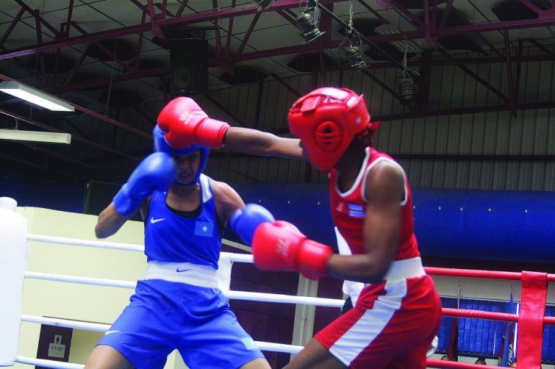 Boxing falls on hard times :: Mmegi Online