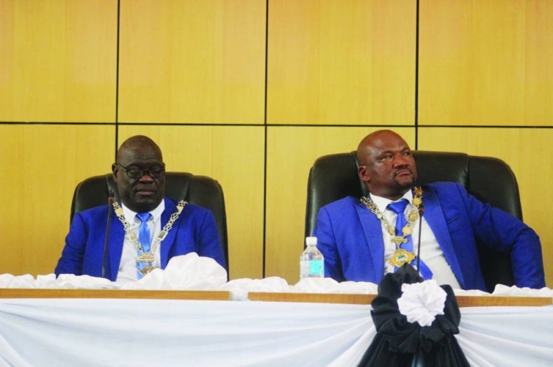 NWDC ex-chairperson, deputy challenge ouster :: Mmegi Online
