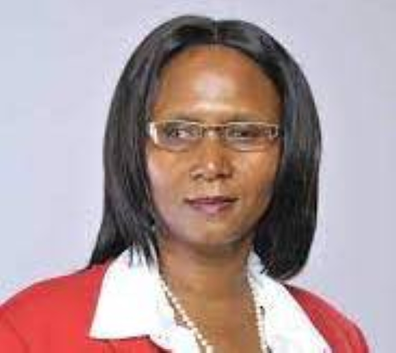 Gov’t won’t standardise bogadi, tshenyo :: Mmegi Online