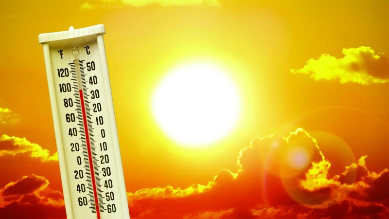 The unnoticed face of climate change: Pregnant women :: Mmegi Online