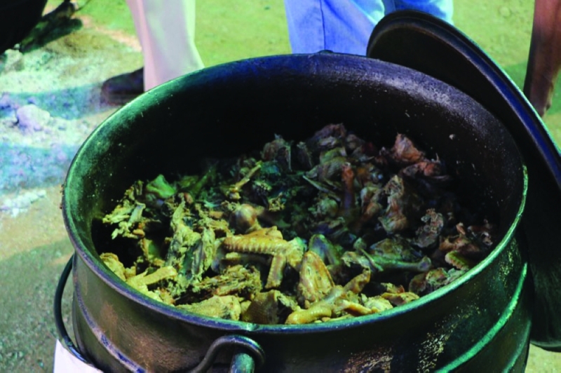 Glam it up! Ka Setso infuses culture with tourism :: Mmegi Online