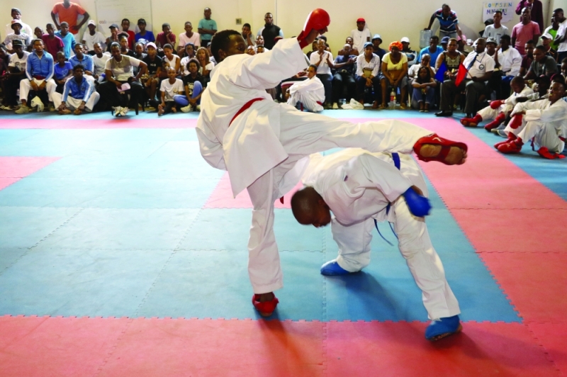 Karate awaits African Games green light :: Mmegi Online