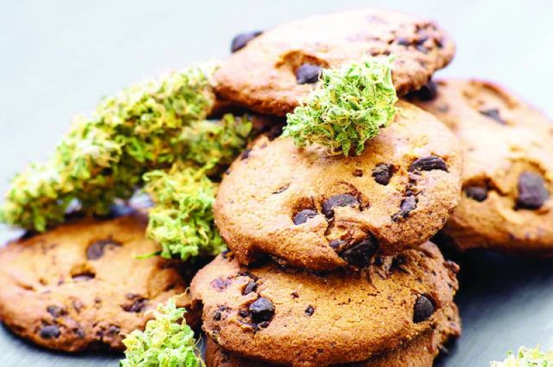 No arrests in Selolwe JSS 'space cookies' saga :: Mmegi Online