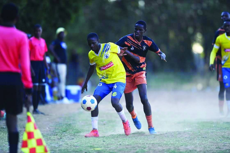 Fighters, Black Forest bite dust :: Mmegi Online