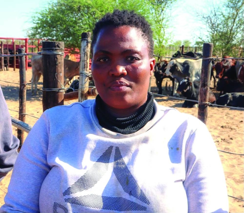 Three arraigned for suspected stolen cattle :: Mmegi Online