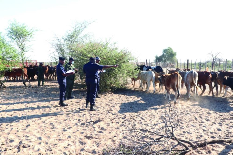 Six arraigned for stock theft :: Mmegi Online