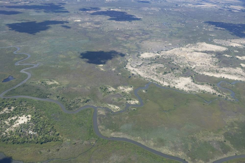 A shifting Okavango Delta: Jao/Boro channel dying :: Mmegi Online