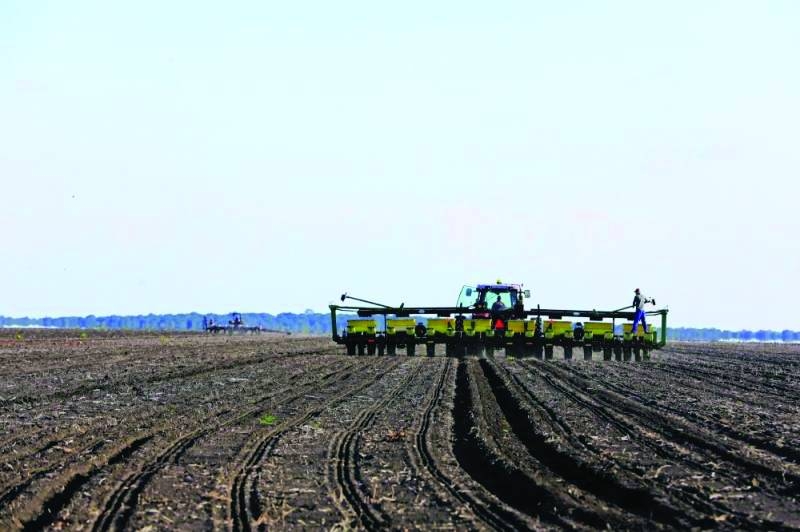 Pandamatenga farmers raise funding alarm as season approaches :: Mmegi ...