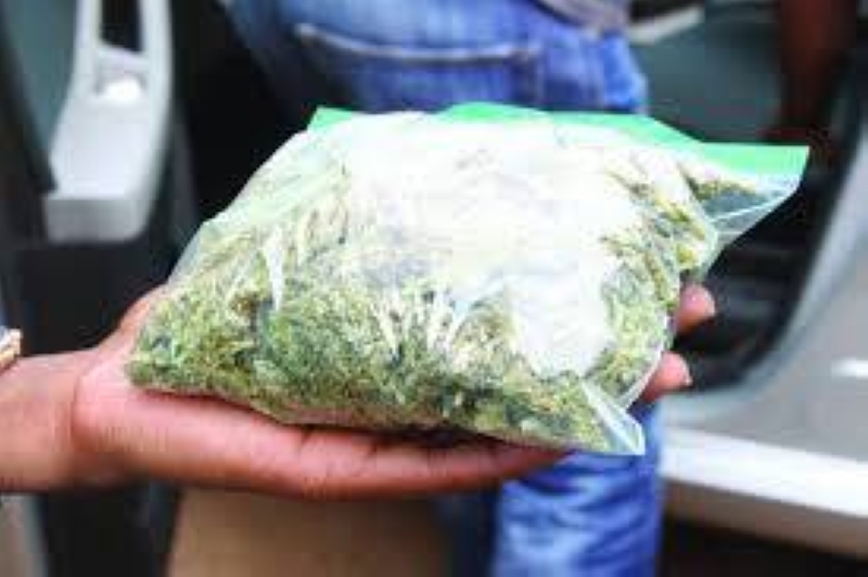 Kanye man arrested with 5kg of suspected dagga :: Mmegi Online