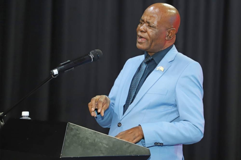 Citizenship isn't for sale—Mokgware :: Mmegi Online