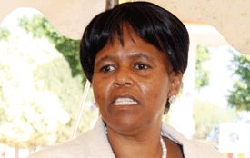 Motsumi clarifies on Audit Bill :: Mmegi Online