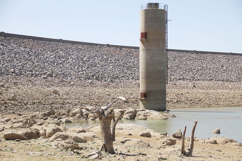 Letsibogo Dam also drying up :: Mmegi Online