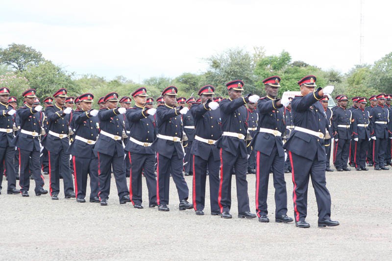 BDF nurses take commander to court over allowances :: Mmegi Online