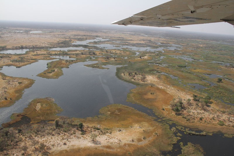 Okavango Delta communities fear impending relocations :: Mmegi Online
