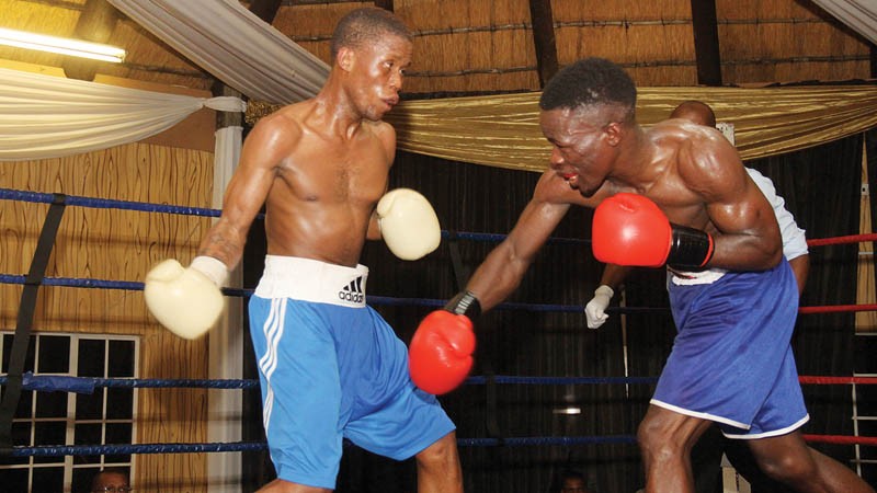 Mothibedi Registers Second Win In Pro Boxing :: Mmegi Online