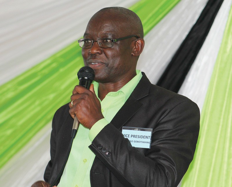 BCP's troubled journey to Bobonong :: Mmegi Online