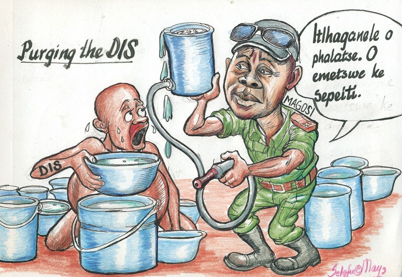 Purging the DIS :: Mmegi Online