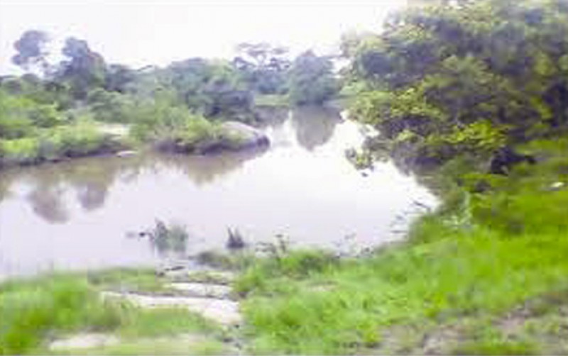 Fifteen-year-old drowns in Shashe River :: Mmegi Online