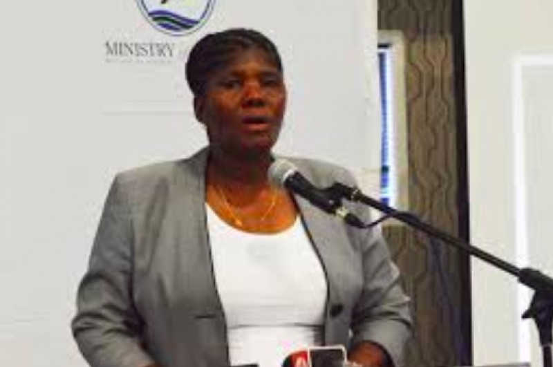 Moagi appointed acting Health PS :: Mmegi Online