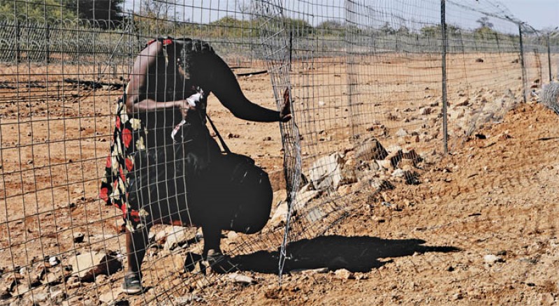 Border Jumping Major Obstacle In COVID-19 Fight :: Mmegi Online